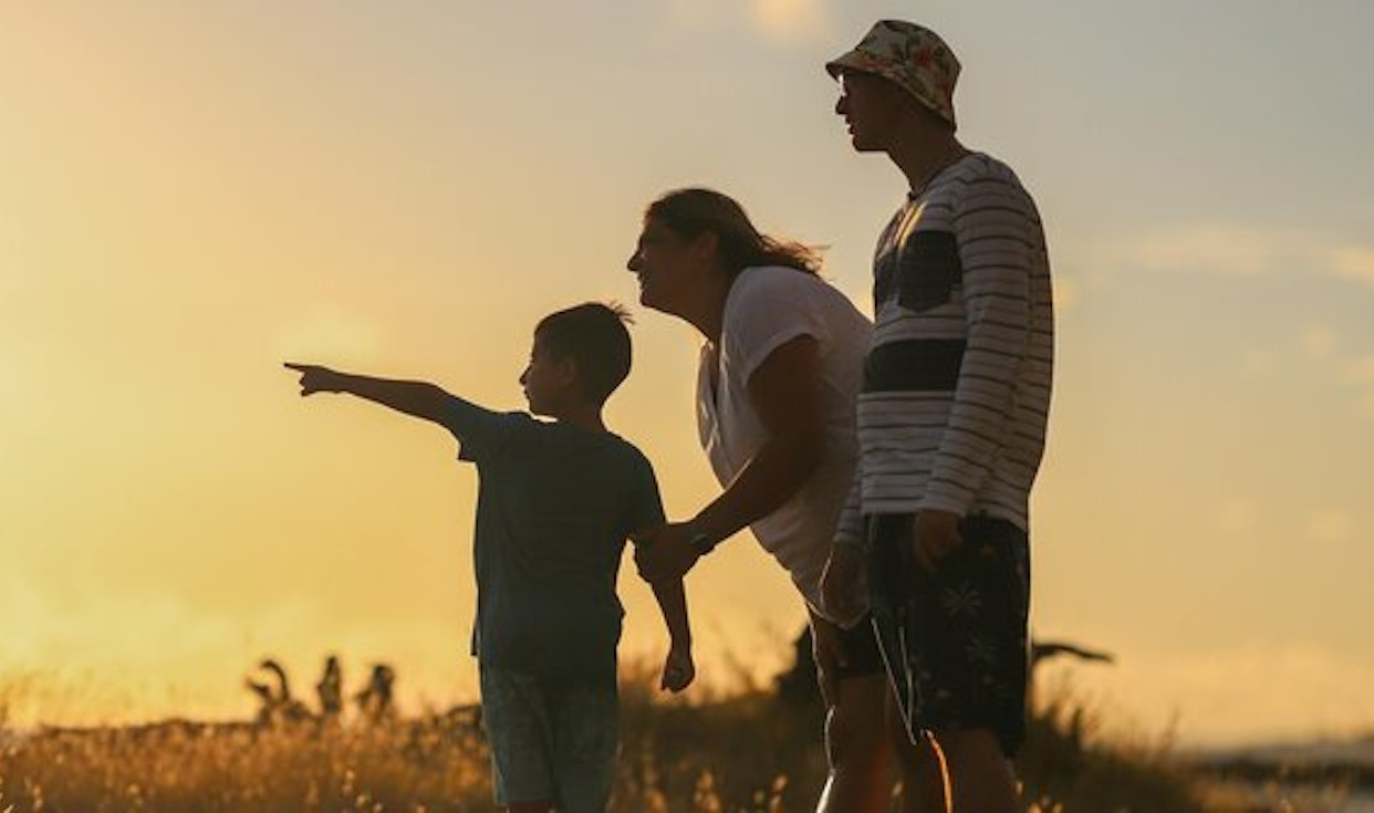 How Guardianship Works In New York Cake Blog how-guardianship-works-in-new-york-cake-blog